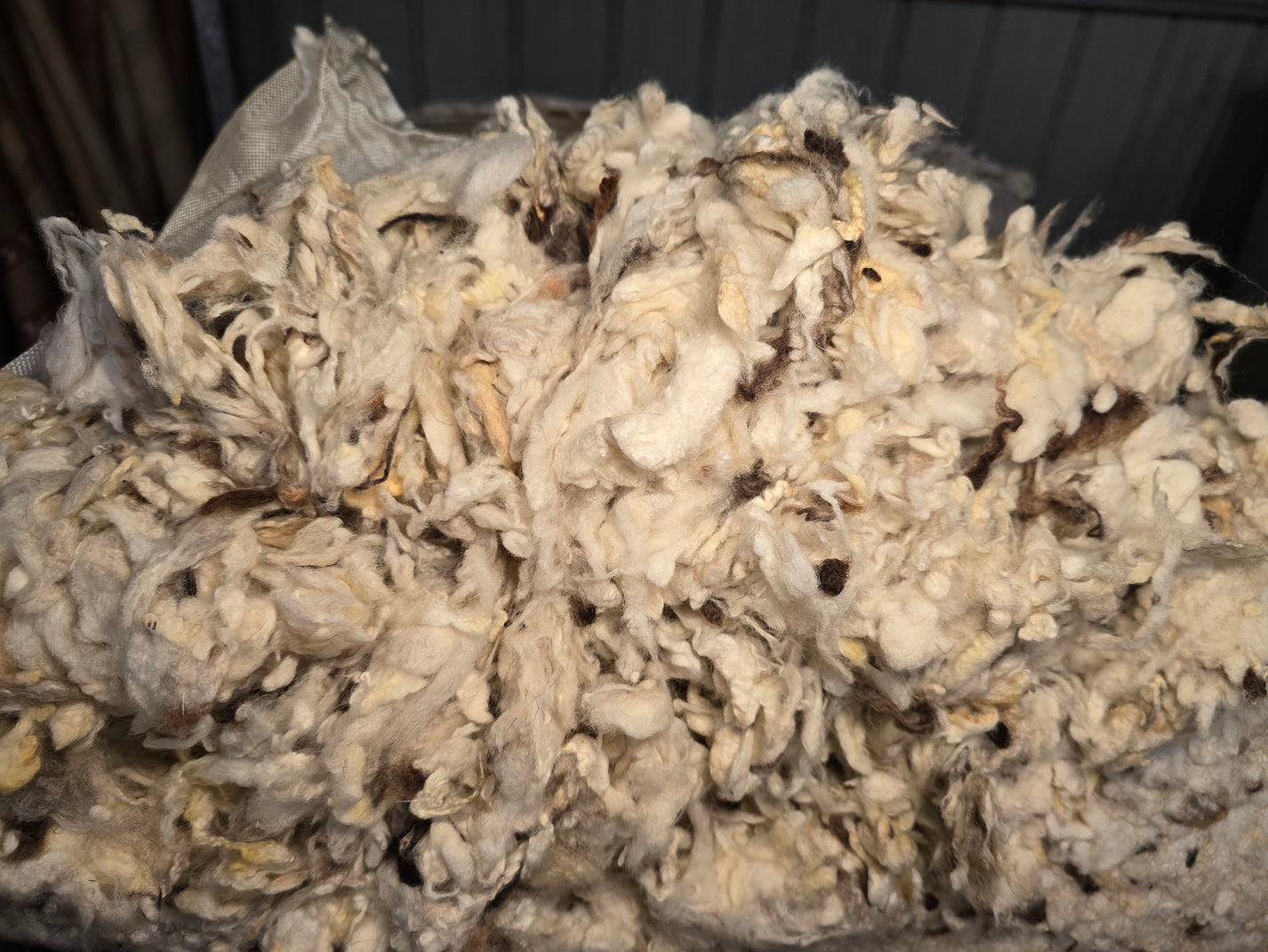 Coloured wool – Wool Valley