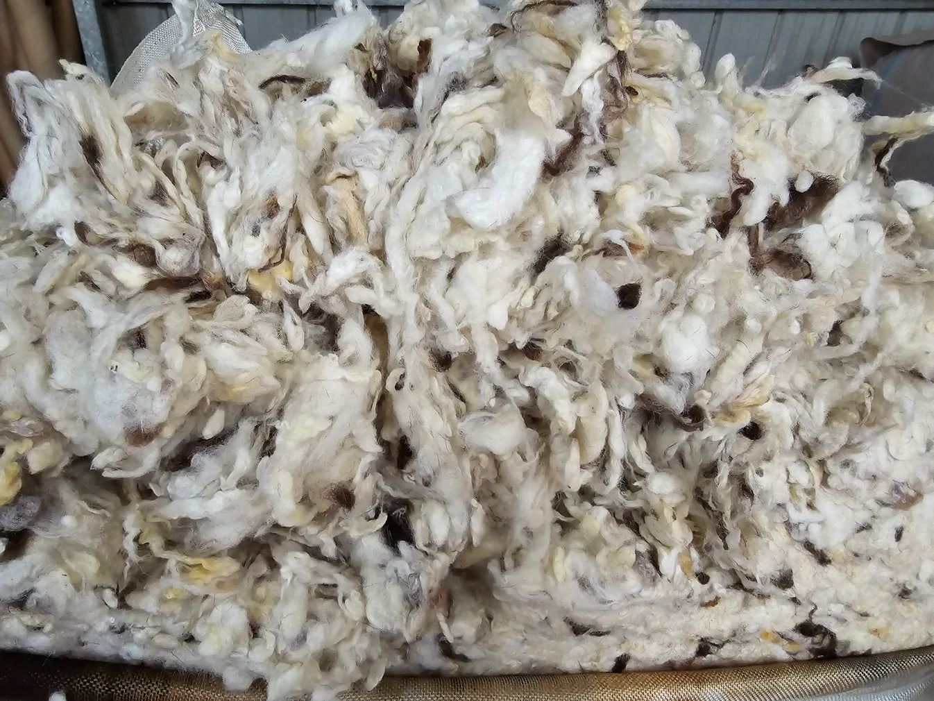 Coloured wool – Wool Valley