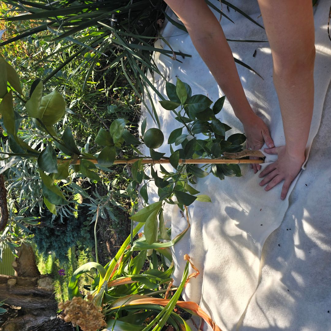 100% Wool Weed Matting – Natural, Sustainable Ground Cover – Wool Valley