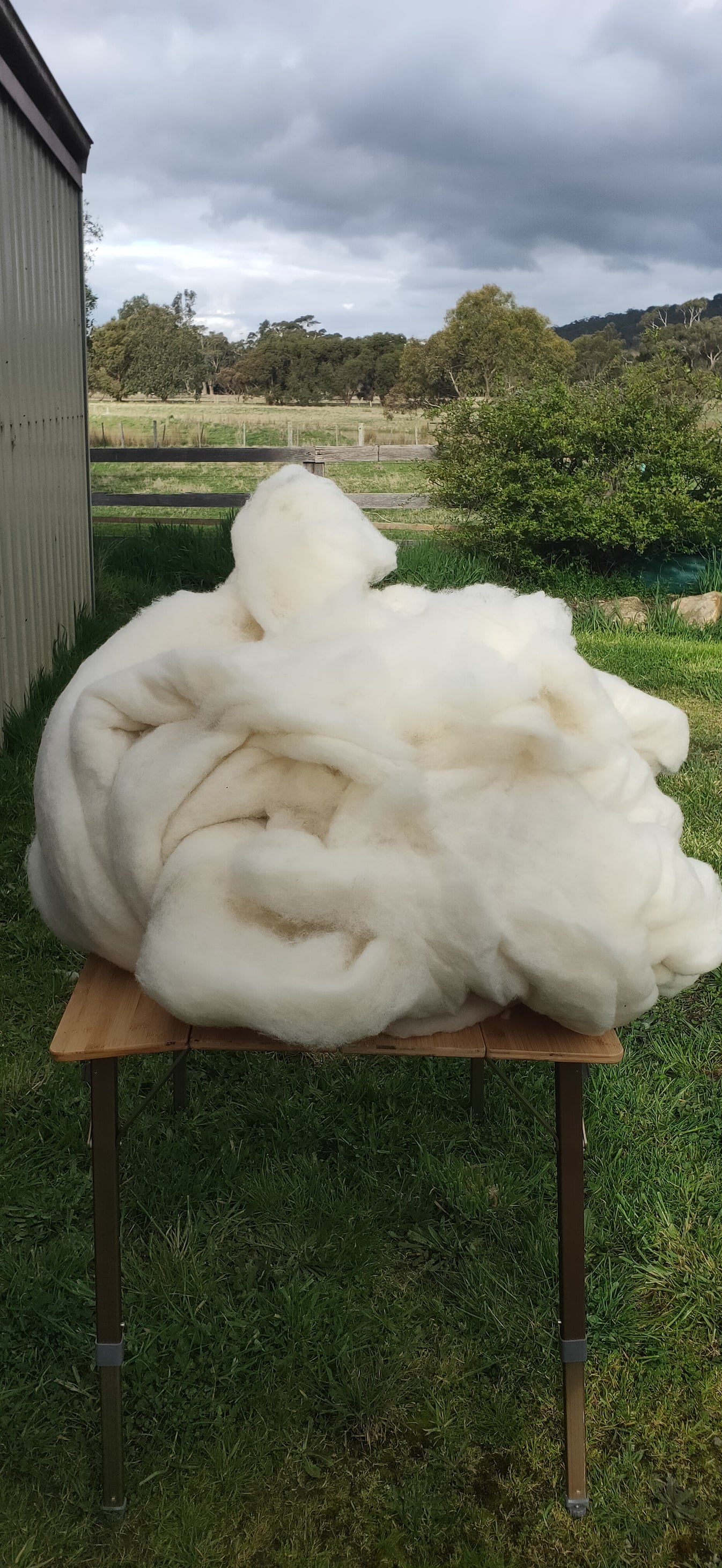 Carded Wool | Wool Valley – Wool Valley