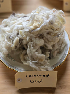 Coloured wool – Wool Valley