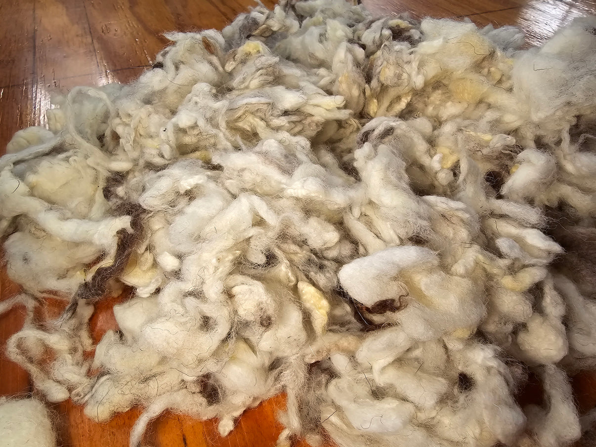 Coloured wool – Wool Valley