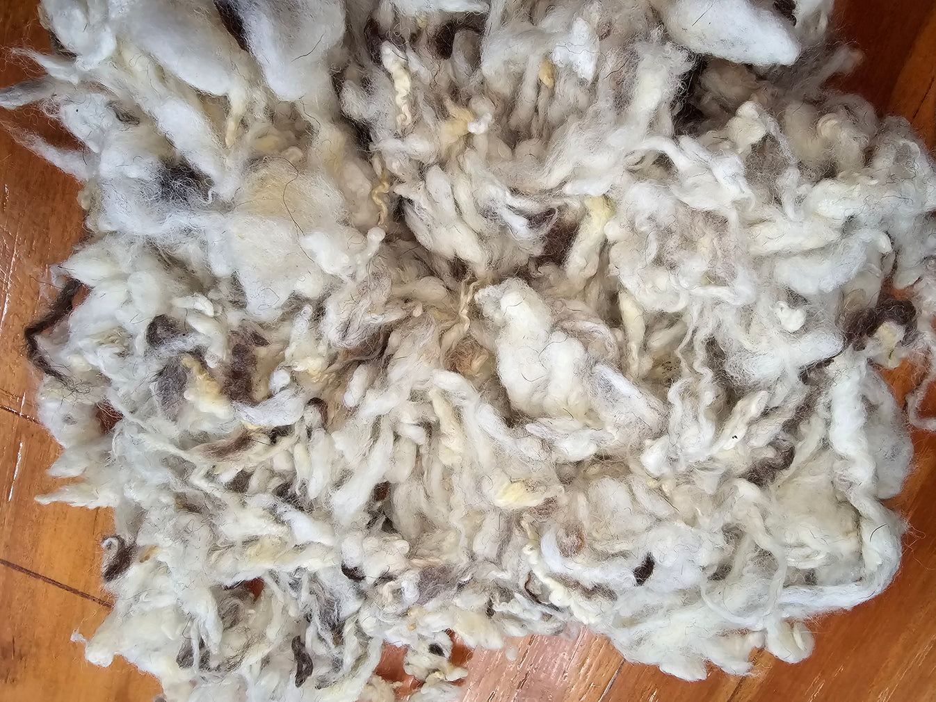 Coloured wool – Wool Valley