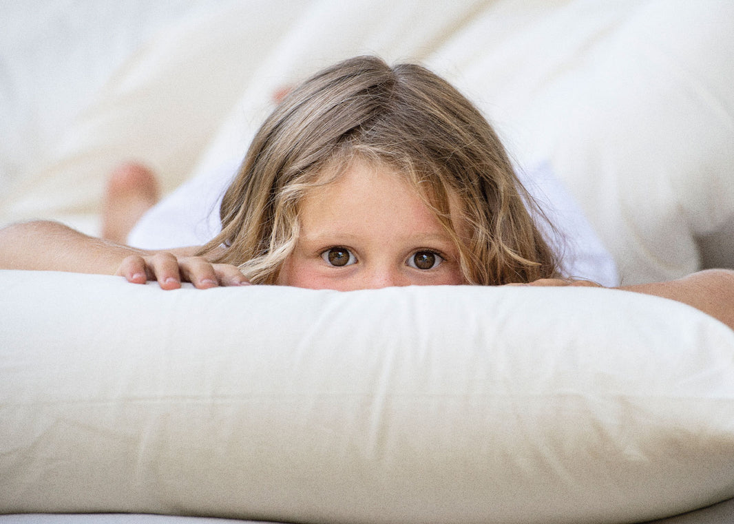 Wool Valley | Organic Wool Bedding and Natural Wadding Supplier